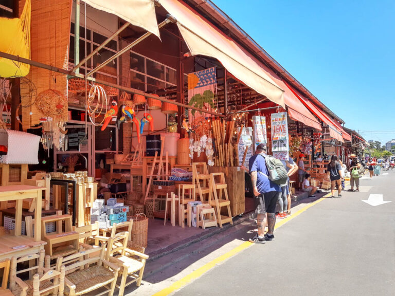 ¿QUÉ VER Y QUÉ HACER EN TIGRE EN UN DÍA O FIN DE SEMANA?